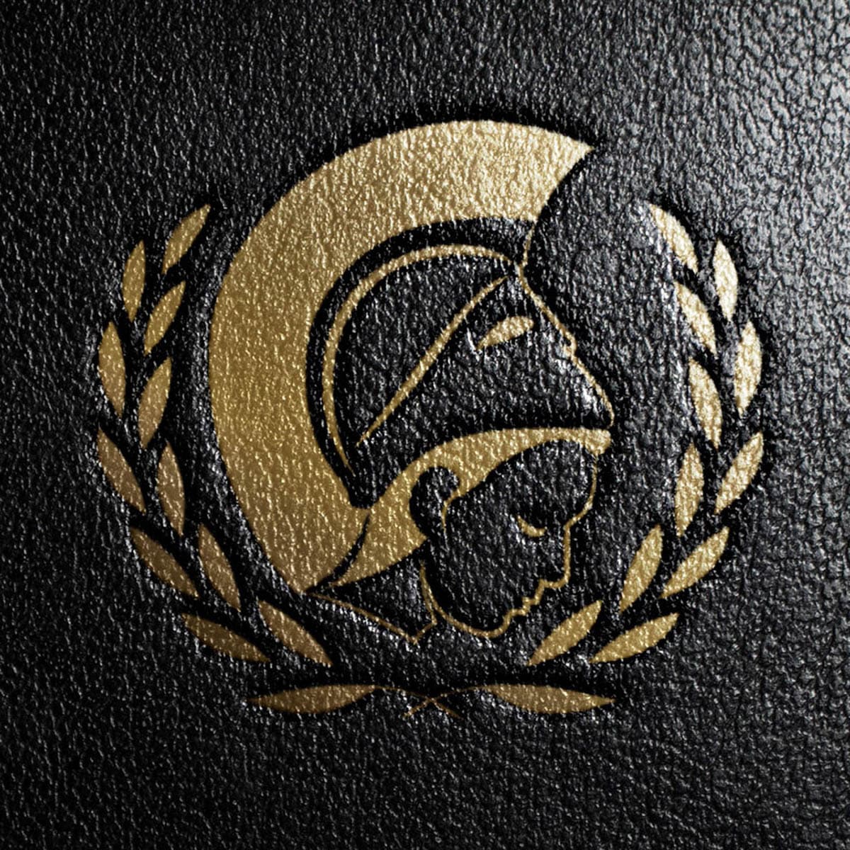 Athéna Sécurity - Logo - Alliance Cube